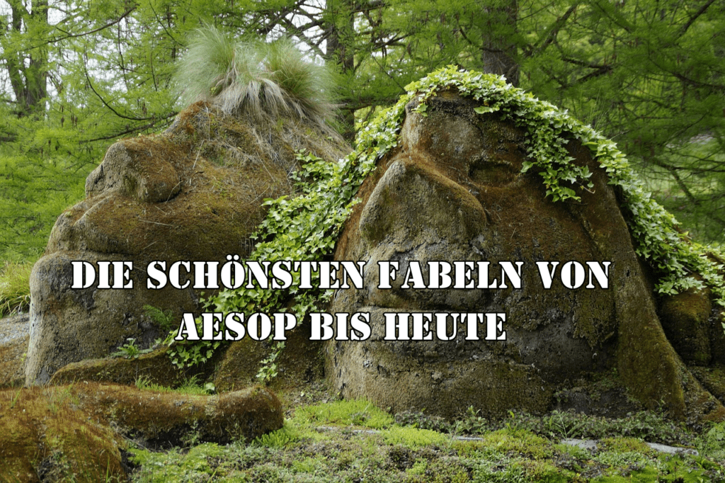 Die schönsten Fabeln von Aesop bis heute - Bilderbuch von Silke Leffler ...