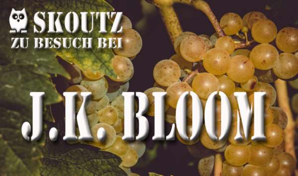 Die Akte Harlekin - Thriller von Thomas Vaucher - Skoutz