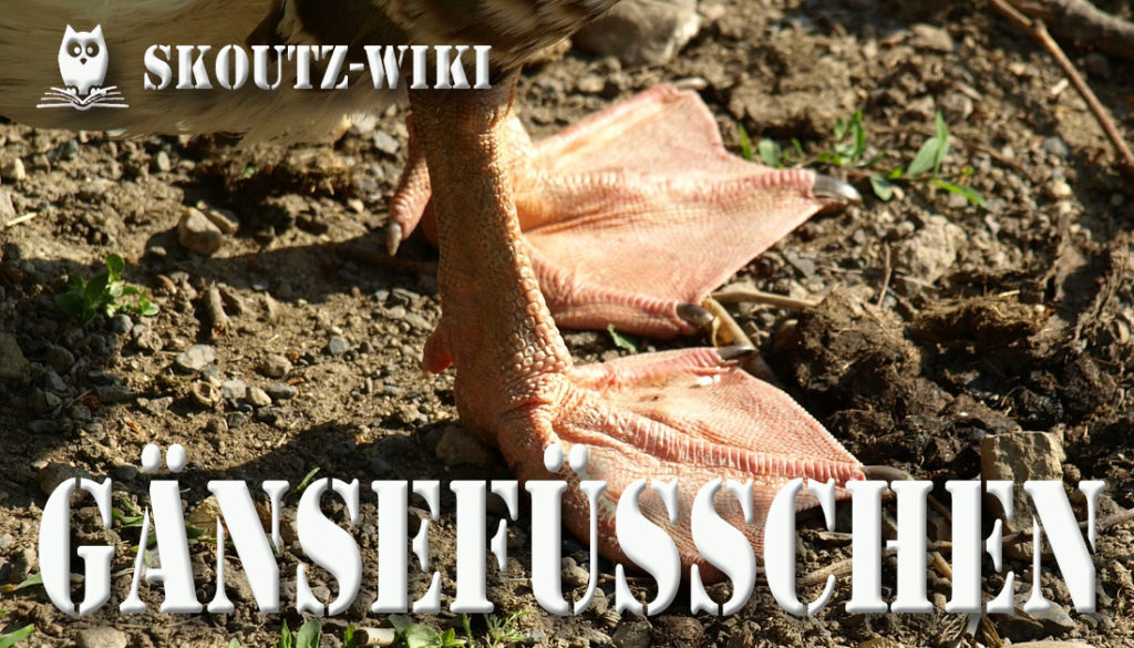 Skoutz-Sprachlabor: Anführungszeichen oder Gänsefüßchen - Skoutz